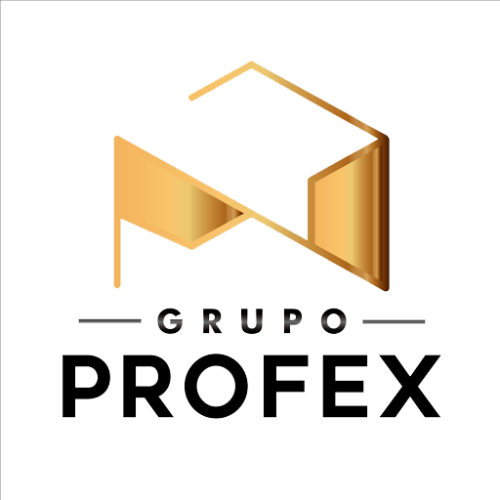 Empresa Constructora – Grupo Profex