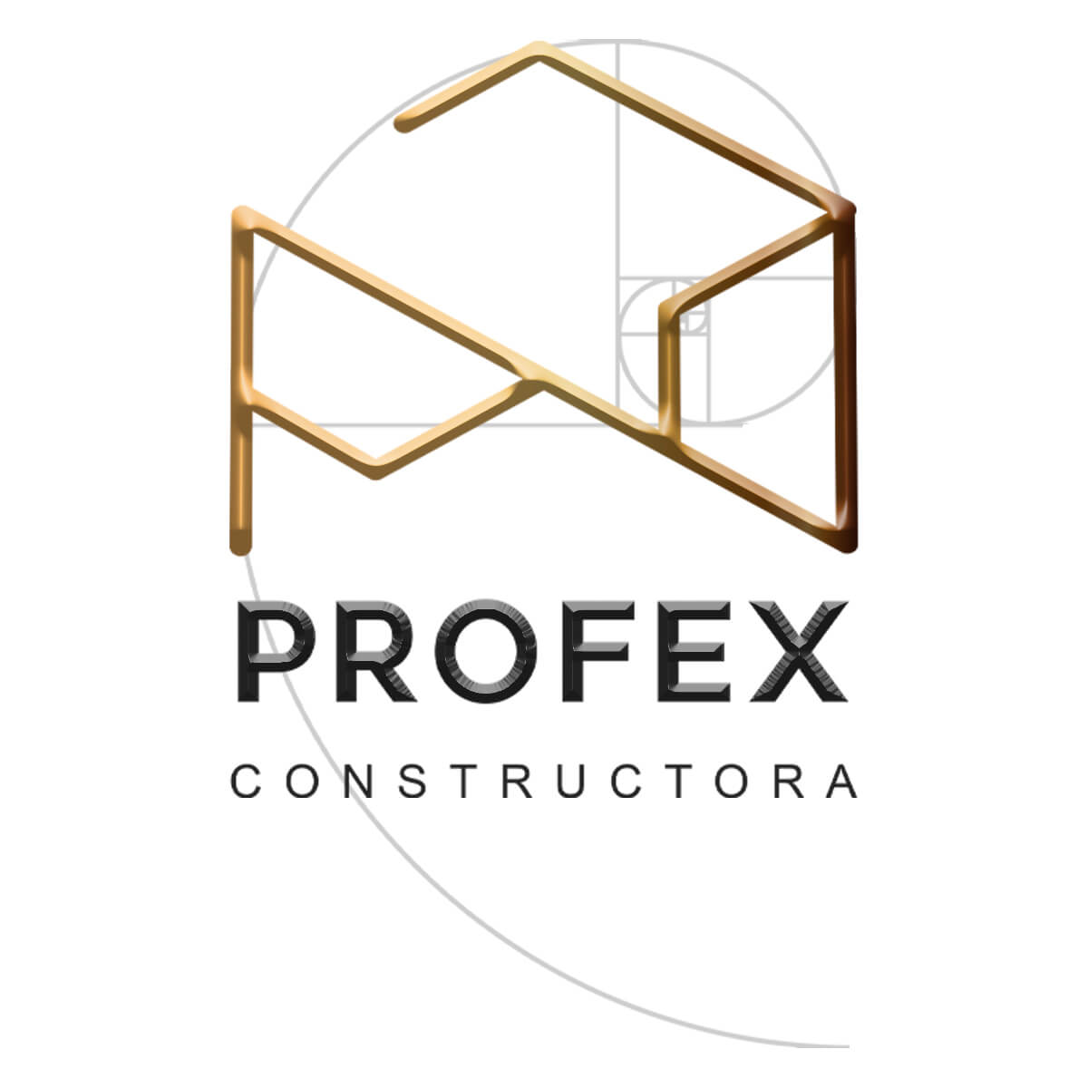 Empresa Constructora – Grupo Profex